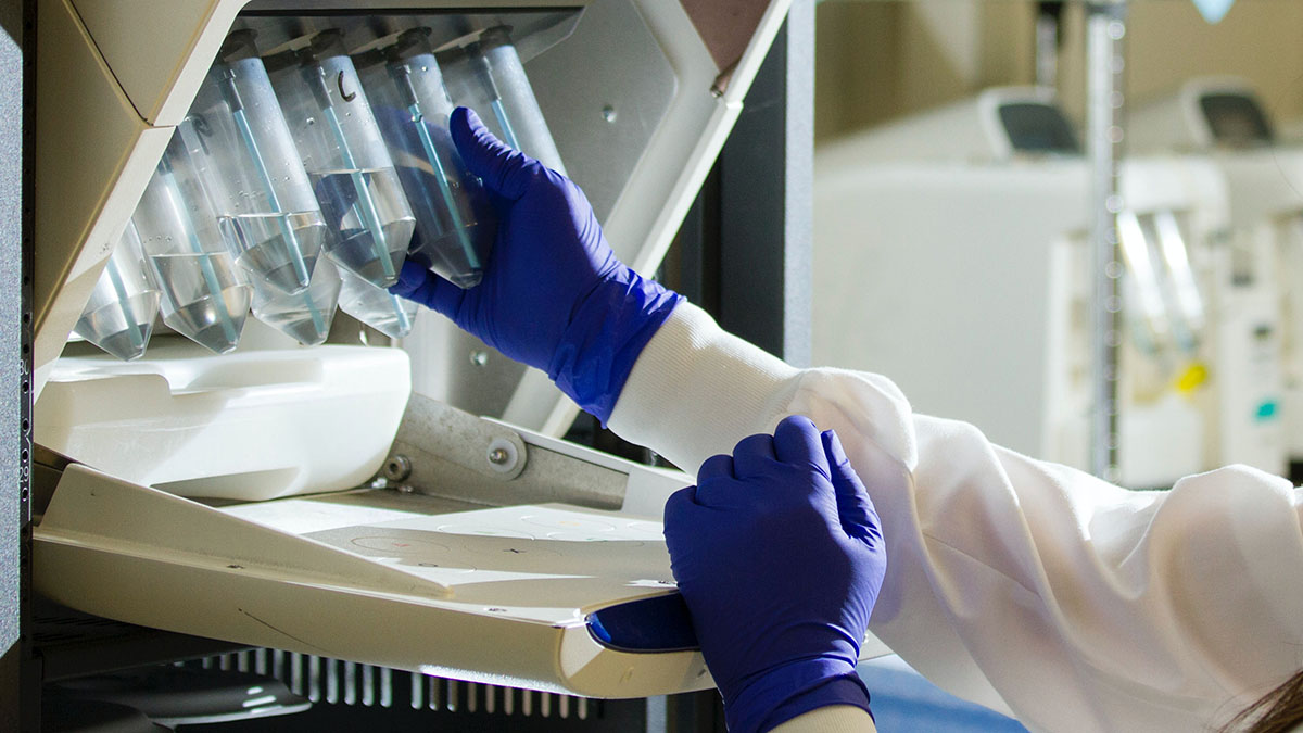 Los dos valores del Mercado Continuo que suben más del 120% en 2025